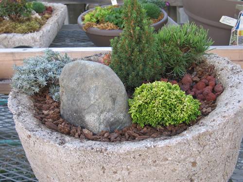 Burkharts Nursery & Landscaping